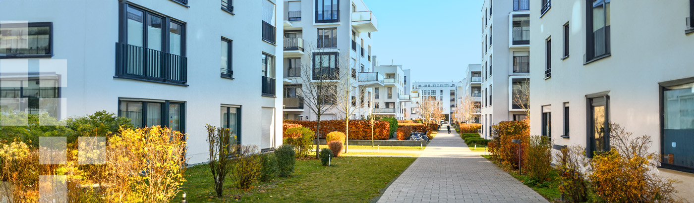 Discover our expertise for industry - Climalife